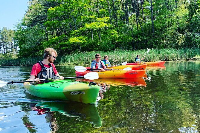 Cape Cod Kayak Rentals in the Great Marsh - Why This Experience Is Worth It