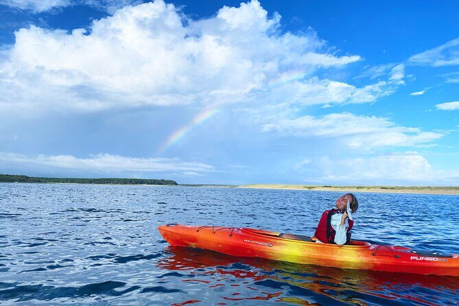 Cape Cod Kayak Rentals in the Great Marsh - Final Thoughts: The Practical Value of a Marsh Paddle