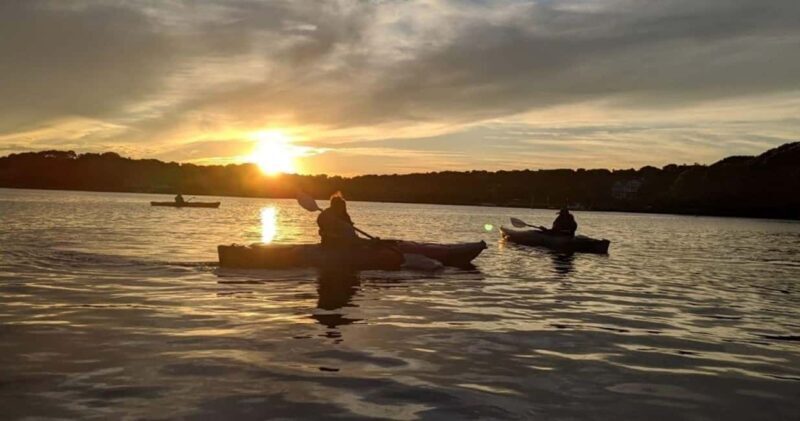 Cape Cod: Sunset Kayak Tour - Key Points