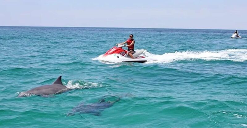 Cape Coral and Fort Myers: Wild Life Jet Ski Tour - An In-Depth Look at the Wildlife Jet Ski Tour