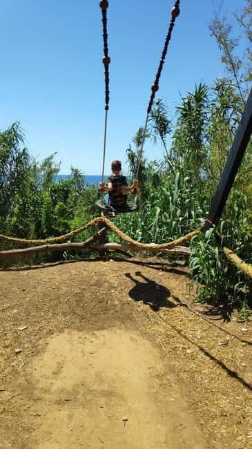 Cape Kamenjak Family Buggy 4-seater 2.5h Tour & Safari Bar - Key Points