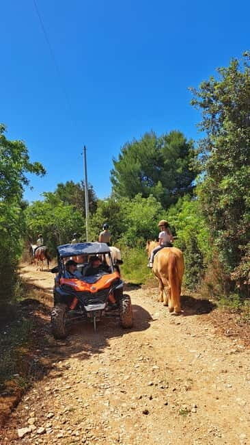 Cape Kamenjak Family Buggy 4-seater 2.5h Tour & Safari Bar - The Return and Optional Swimming Break