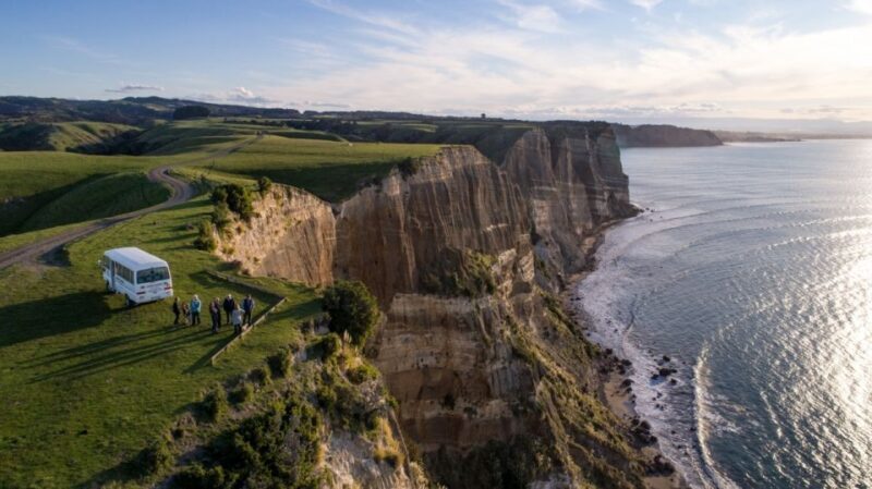 Cape Kidnappers Gannet Colony Private Tour - Why It’s a Good Value