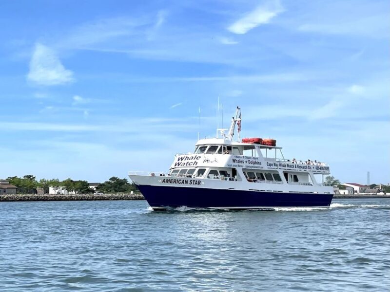 Cape May: Dolphin and Bird Watching Cruise - Practical Tips for Your Cruise