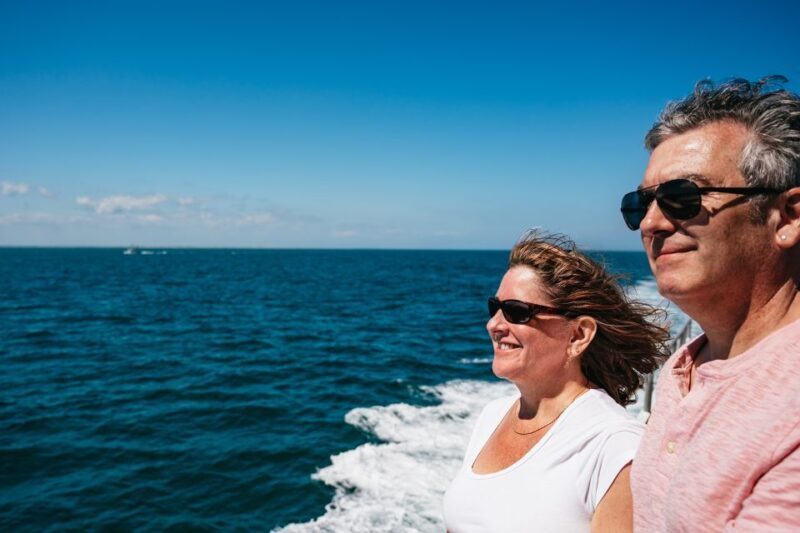 Cape May: Jersey Shore Whale and Dolphin Watching Cruise - Wildlife Sightings: What Are the Chances?