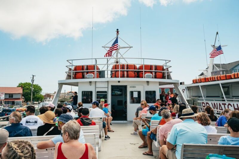 Cape May: Jersey Shore Whale and Dolphin Watching Cruise - The Scenic and Historic Waterfront