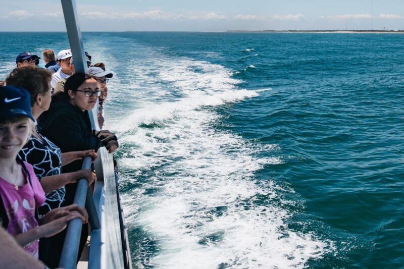Cape May: Jersey Shore Whale and Dolphin Watching Cruise - Who Should Consider This Tour?