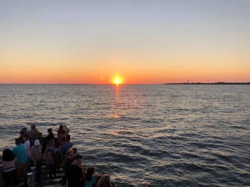 Cape May: Sunset Dolphin Cruise with Optional Wine Tastings - The Sum Up