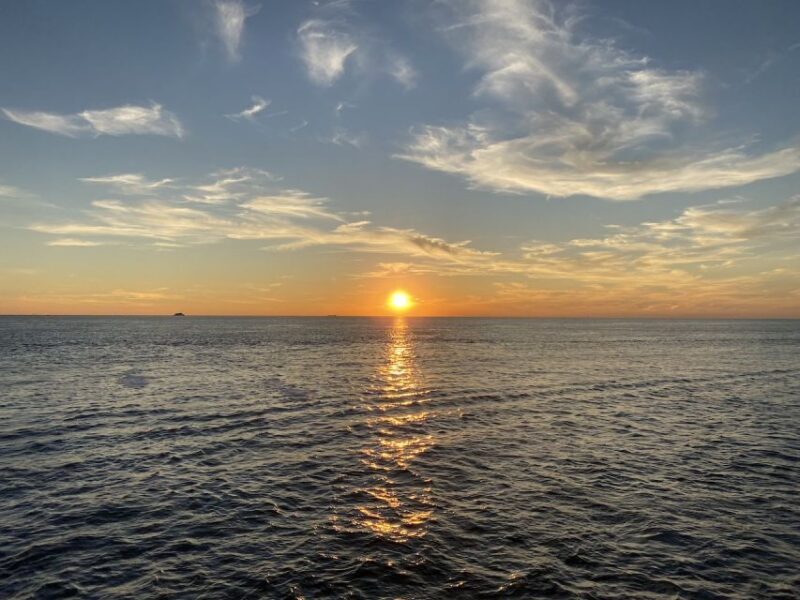 Cape May: Sunset Dolphin Watching Cruise with Food - Who Should Consider This Tour?
