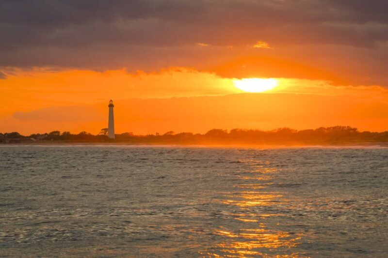 Cape May: Weekend Whale and Dolphin Watching Cruise - Key Points