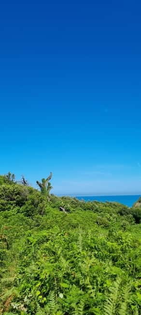 Cape of Rodon, Hiking to Castle, Beach, Wine testing tour! - An In-Depth Look at the Experience