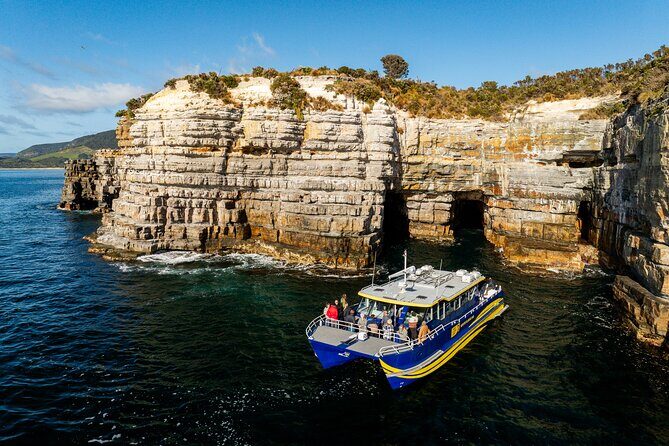 Cape Raoul Cruises Day Tour from Hobart - The Experience: A Deep Dive into the Itinerary