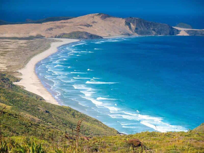 Cape Reinga: Day Trip from Paihia, Kerikeri, or Kaitaia - An In-Depth Look at the Tour Experience