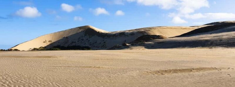 Cape Reinga: Day Trip from Paihia, Kerikeri, or Kaitaia - FAQs