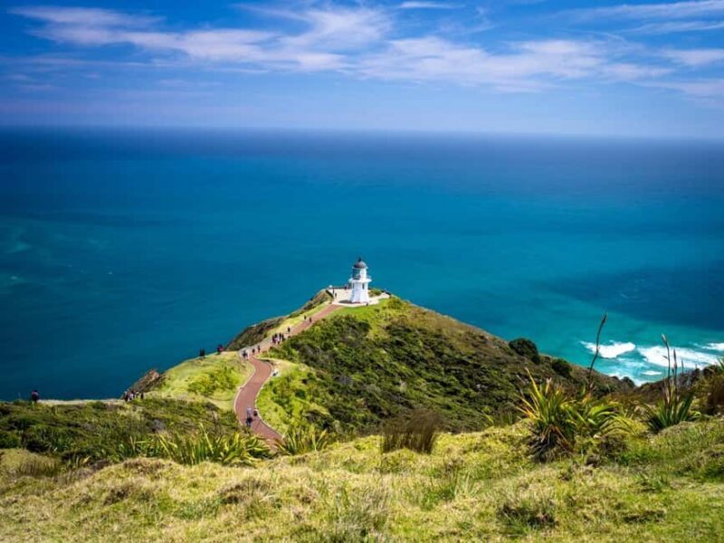 Cape Reinga: Day Trip from Paihia, Kerikeri, or Kaitaia - Exploring the Itinerary and Value