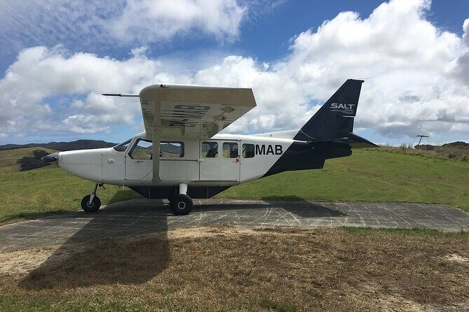 Cape Reinga Half-Day Tour Including Scenic Flight - The Experience and Why It’s Special