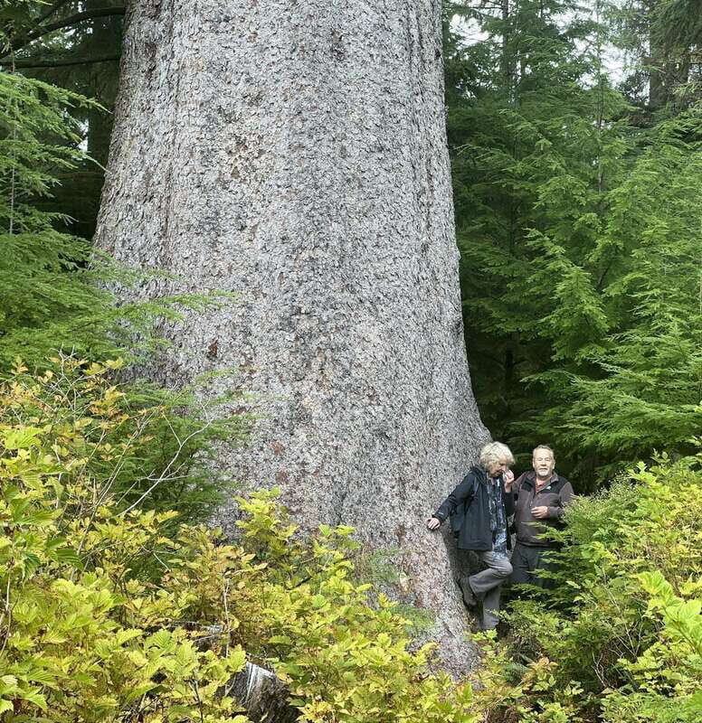 Cape Scott: San Josef Bay Day Hike with Scenic Drive - An Introduction to the Experience