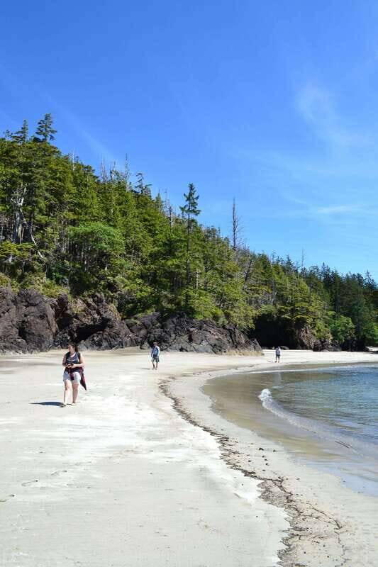 Cape Scott: San Josef Bay Day Hike with Scenic Drive - Who Will Love This Tour?