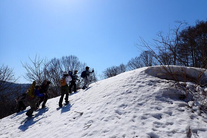Cape Shakotan Ocean View Walking Path Snowshoeing - Final Thoughts: Is It Worth It?
