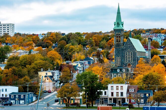 Cape Spear, Signal Hill in St. Johns Newfoundland Shore Excursion - The Value of This Tour