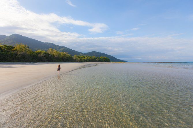 Cape Tribulation & Daintree Wilderness (TCT) - Lunch at Cape Tribulation Beach