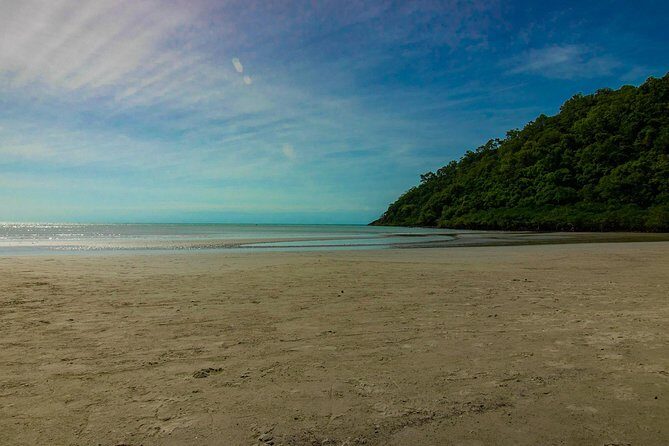 Cape Tribulation Day Tour - Perceived Value and Who Should Take This Tour