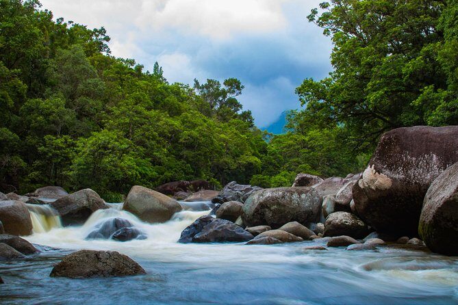 Cape Tribulation Day Tour - FAQs