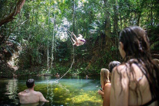 Cape Tribulation Day Tour from Cairns - The itinerary breakdown: What you’ll see and do