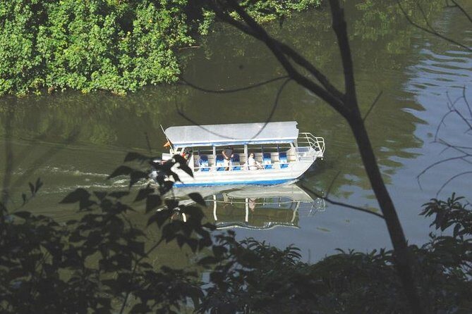 Cape Tribulation Day Tour from Cairns - The value proposition
