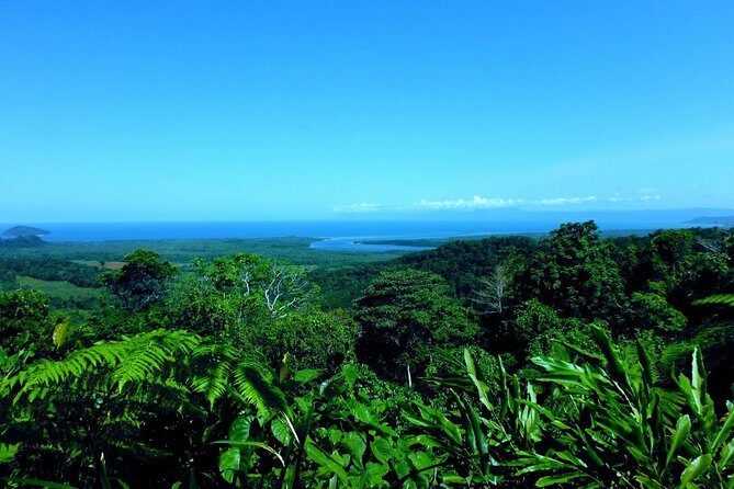 Cape Tribulation, Mossman Gorge and Daintree Rainforest Day Tour - Final Thoughts
