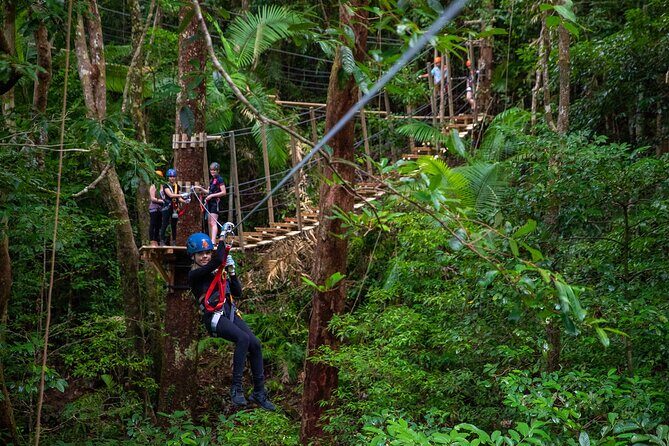Cape Tribulation & Ziplining: Ultimate Daintree - Key Points