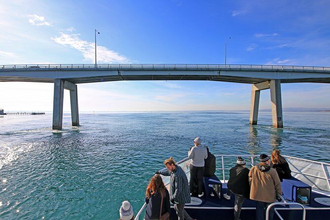 Cape Woolamai Sightseeing Cruise from San Remo - Key Points: