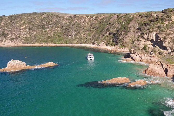 Cape Woolamai Sightseeing Cruise from San Remo - Pricing and Value