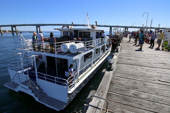 Cape Woolamai Sightseeing Cruise from San Remo - The Sum Up