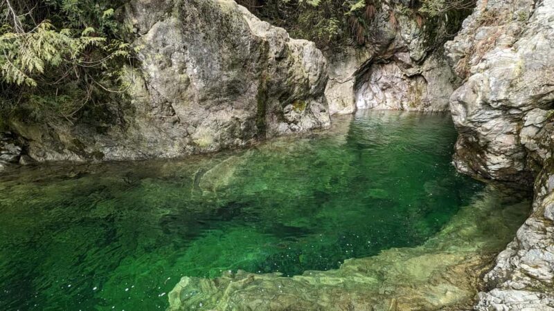 Capilano Br+Granville Isl+Capilano Hatchery+Lynn Canyon Tour - Final Thoughts