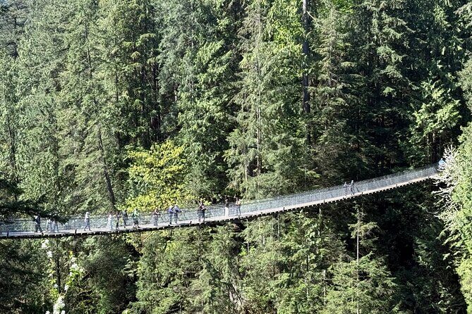 Capilano Br+Grouse Mtn+Dam+Lake+Hatchery/5in1CarTour+Small Group - What’s Included & What to Expect