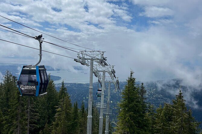 Capilano Br+Grouse Mtn+Dam+Lake+Hatchery/5in1CarTour+Small Group - The Sum Up: Who Will Love This Tour?