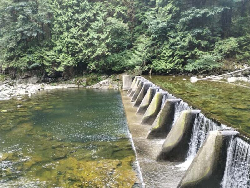 CAPILANO BR+GROUSE Mtn+STANLEY P+DAM+LAKE+HATCHERY/CAR/9in1 - Authentic Experiences and Feedback