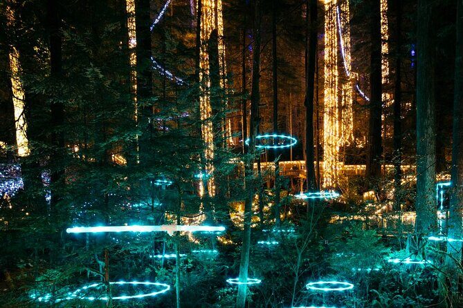 Capilano Canyon Lights Evening Tour Christmas Magic Awaits - What You Can Expect from the Itinerary