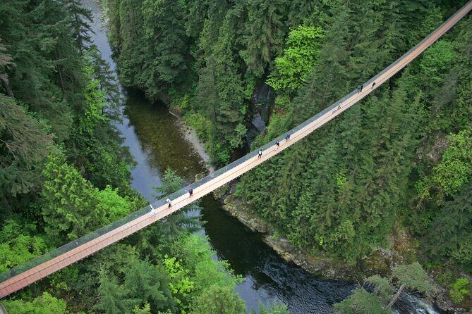 Capilano Suspension Bridge and Grouse Mountain Signature Tour - Introduction