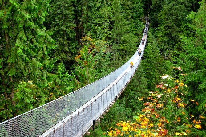 Capilano Suspension Bridge and Grouse Mountain Signature Tour - Key Points