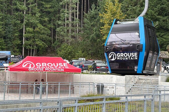 Capilano Suspension Bridge and Grouse Mountain Signature Tour - Who Should Consider This Tour?