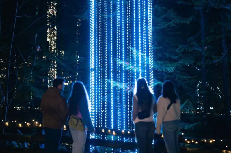 Capilano Suspension Bridge Canyon Lights Holiday Tour - An In-Depth Look at the Tour Experience