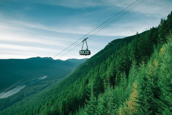 Capilano Suspension Bridge + Grouse Mountain Tour - The Itinerary Breakdown: What You Can Expect