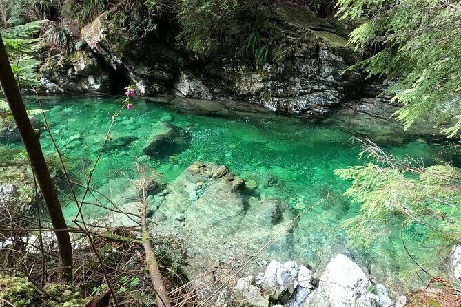 Capilano Suspension Bridge, Lynn Canyon & Capilano Hatchery Tour - An Authentic Day in Vancouver’s Outdoors