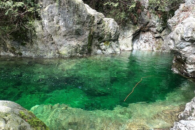 Capilano Suspension Bridge, Lynn Canyon & Capilano Hatchery Tour - Practical Tips for Travelers