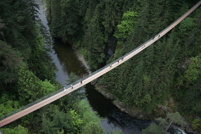 Capilano Suspension Bridge Park Ticket - What Makes the Capilano Suspension Bridge Park Special?