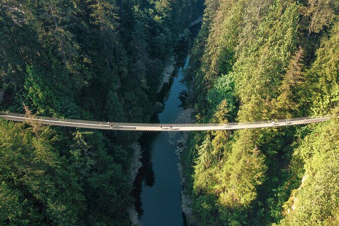 Capilano Suspension Bridge Park Ticket - The Sum Up