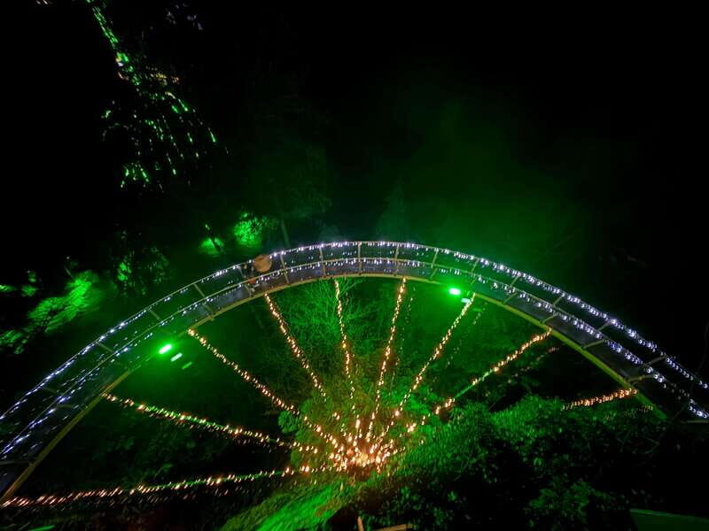 Capilano Suspension Bridge/Private/Small Group/By LUX CAR - Key Points