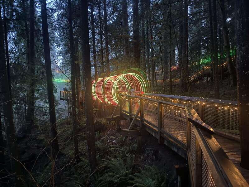 Capilano Suspension Bridge/Private/Small Group/By LUX CAR - Who Will Love This Tour?
